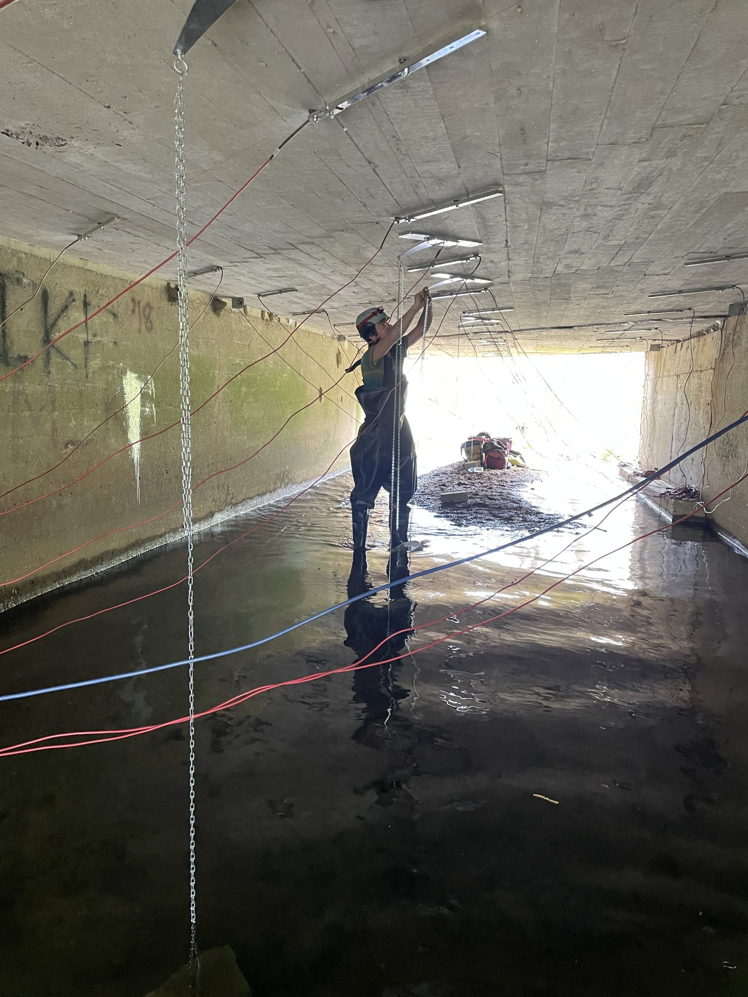 Diagnostic Load Testing for Bridge Load Rating - BDI Structural Testing ...